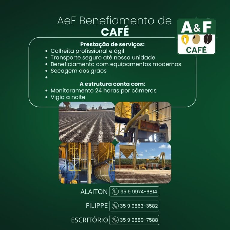 Confira como ficou a cotação do café nesta segunda-feira (02) – tpower ...